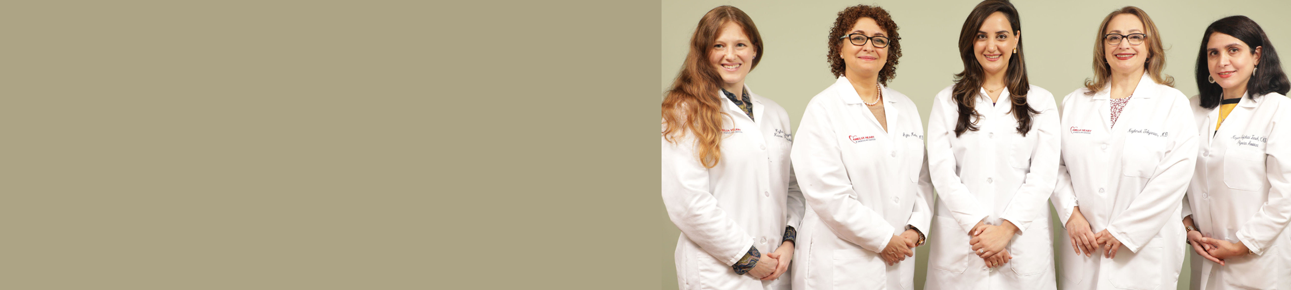 Cardiovascular Doctor | Arlington | Springfield VA | Heart Specialist